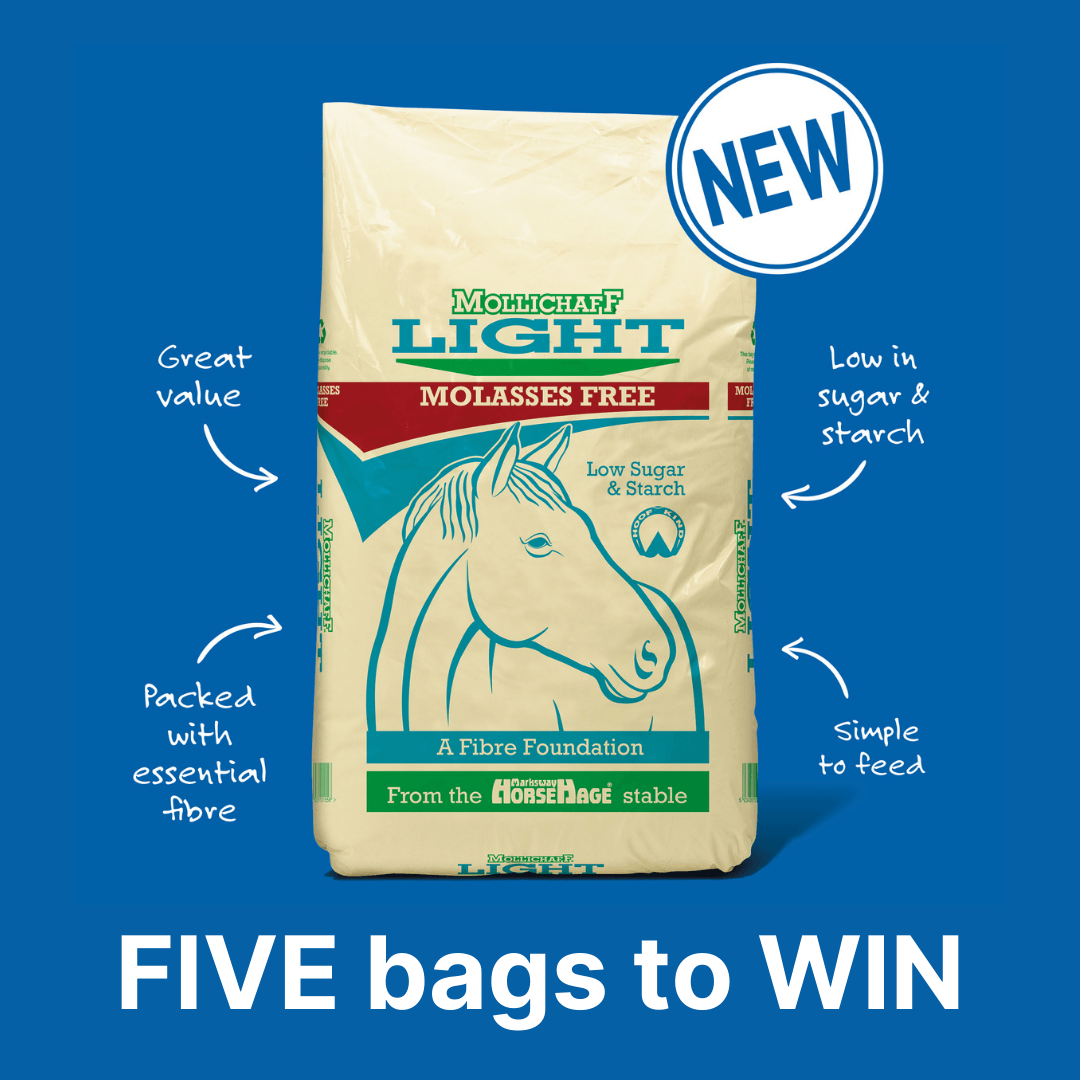 WIN Mollichaff Light Molasses Free - HorseHage