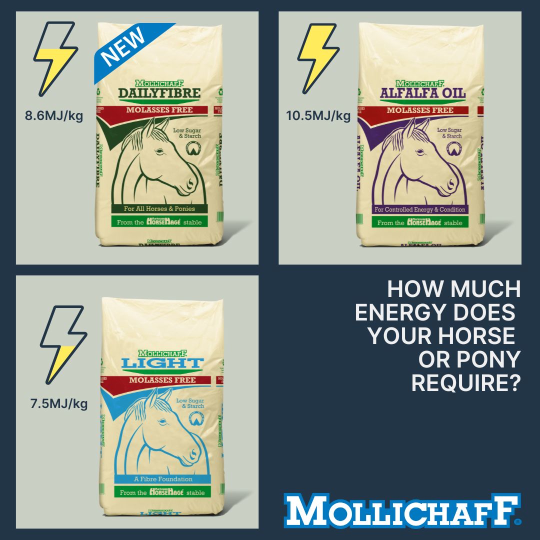 Mollichaff Molasses Free Range: Options for Every Horse - HorseHage