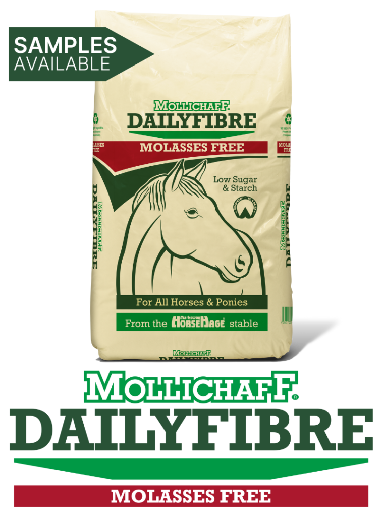 Feeding Horses and Ponies with Laminitis - HorseHage